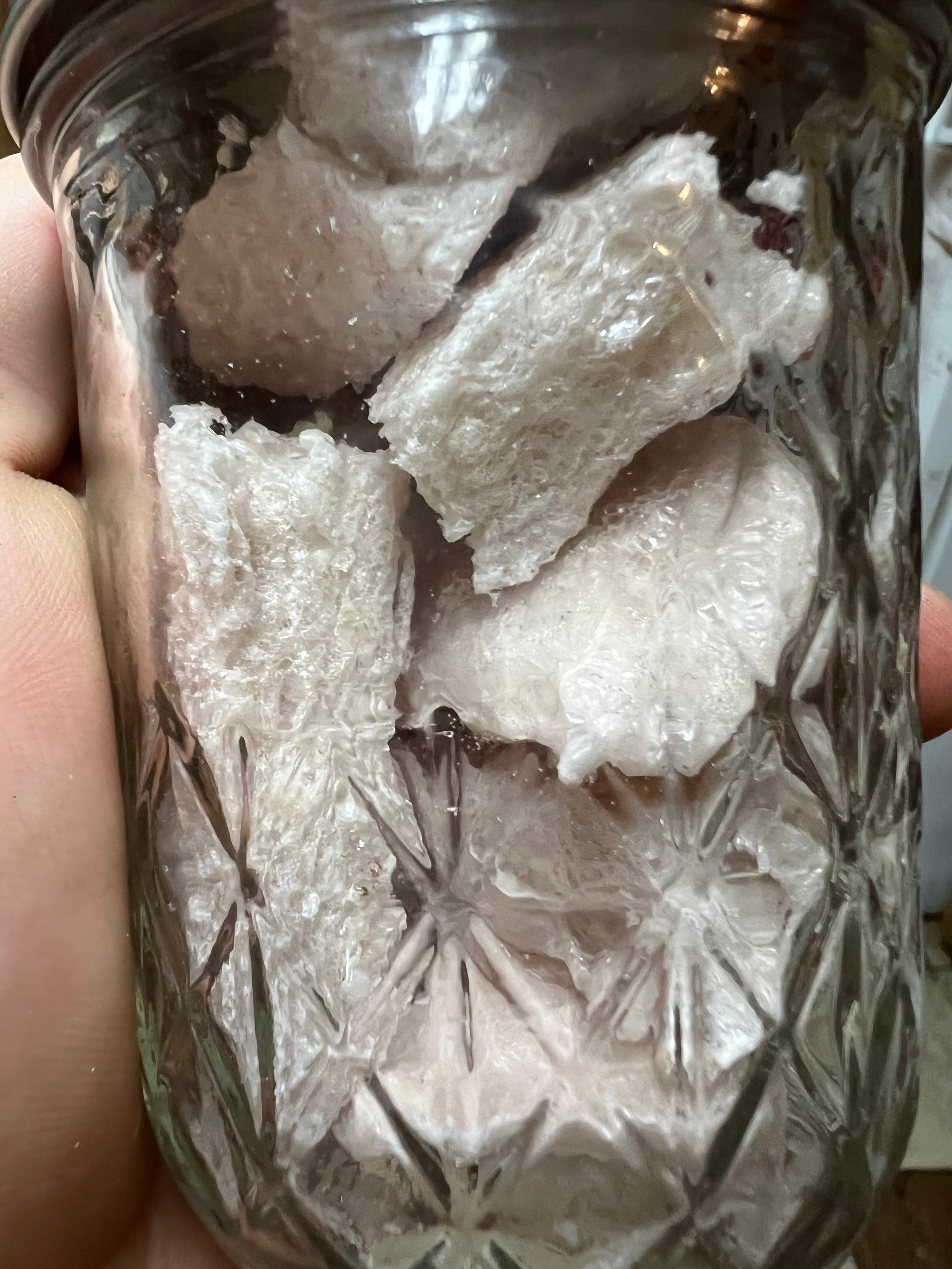 Freeze Dried FL Grown "Anomaly" Jaboticaba Pulp (Plinia sp) approx 15 ...
